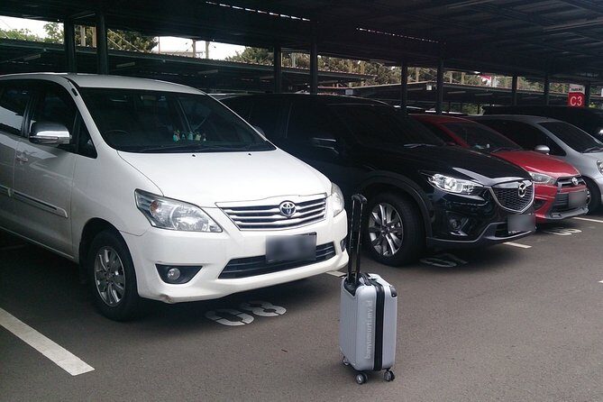 Bali Private Pick up Airport to Ubud Hotels - The Route and Ubud Arrival