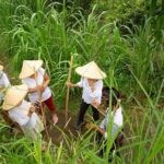 Bali Pure trek with spiritual journey, purification ceremony, local priest -Ubud - Trekking Through Bali’s Heartland