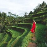 Bali Romantic: Ubud and Tanah Lot Tour - Optional Stops and Flexibility
