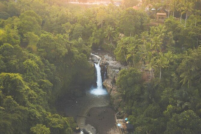 Bali Shore Excursions : Best of Bali Tour - Who Would Enjoy This Tour?