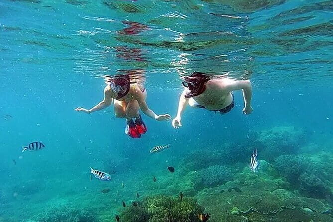 Bali Snorkeling at Blue Lagoon and Tanjung Jepun - A Detailed Look at the Snorkeling Adventure