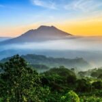 Bali Swing Activities and Kintamani Volcano Tour - Authentic Feedback & Insights