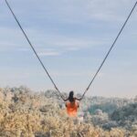 Bali Swing, Monkey Forest and Waterfall Tour - The Majestic Tegalalang Rice Terrace
