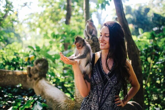 Bali: Ubud (Temple, Spring, Rice Terraces, & Waterfall) - Transportation & Overall Value
