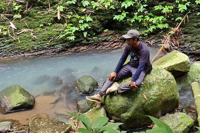 Balis Mystical Jungle Trek & Hidden Waterfall Adventure - Analyzing the Value