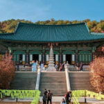 Balwangsan Day Tour: Forest Trails & Scenic Highland Views - Key Points