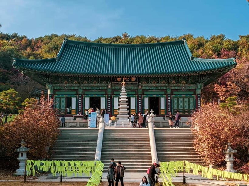Balwangsan Day Tour: Forest Trails & Scenic Highland Views - Key Points