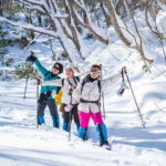 Bamboo Ice Cave Snowshoeing Tour in Noboribetsu - What People Say & The Value Proposition