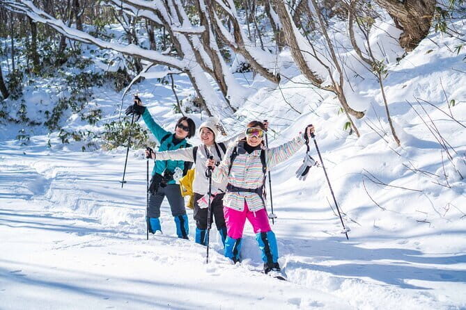 Bamboo Ice Cave Snowshoeing Tour in Noboribetsu - What People Say & The Value Proposition