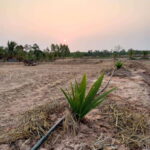 Ban Chik: Organic Farm Tour with Tasting - Who Should Consider This Tour?