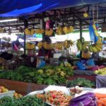 Bandar Seri & Water Village Tour (full day) - A Deep Dive into the Full-Day Bandar Seri & Water Village Experience