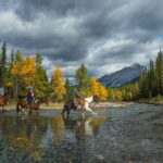 Banff: 4-Hour Sulphur Mountain Intermediate Horseback Ride - Who Should Consider This Tour?