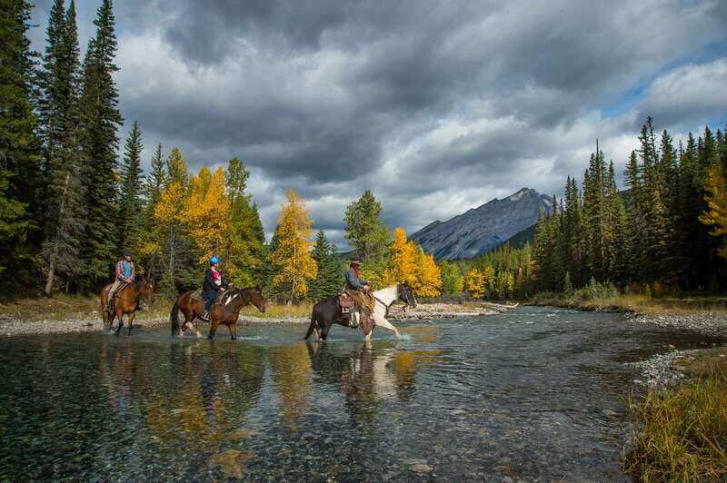 Banff: 4-Hour Sulphur Mountain Intermediate Horseback Ride - Who Should Consider This Tour?