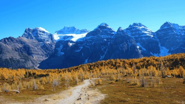 Banff/Canmore: Larch Valley & Moraine Lake - Authentic Experiences from Travelers