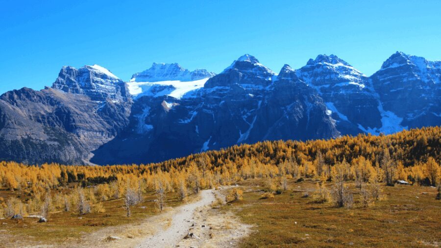 Banff/Canmore: Larch Valley & Moraine Lake - Authentic Experiences from Travelers