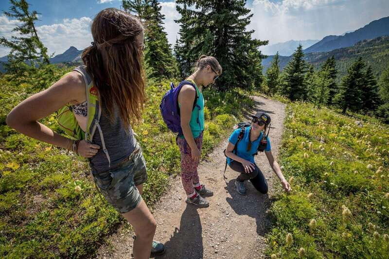 Banff: Edible and Medicinal Plants Nature Walk - What You Can Expect from the Tour
