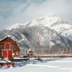 Banff: Family Friendly Horse-Drawn Sleigh Ride - Who This Experience Is Best For