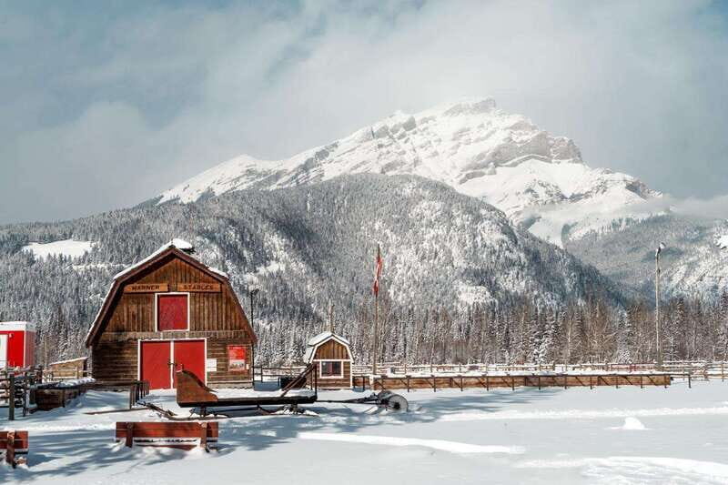 Banff: Family Friendly Horse-Drawn Sleigh Ride - Who This Experience Is Best For