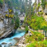 Banff Highlights Tour Louise, Johnston and Minnewanka Shared Tour - Who Is This Tour Best Suited For?