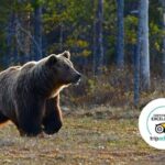 Banff Highlights & Wildlife | Award-Winning Small Group Adventure - Who Should Take This Tour?