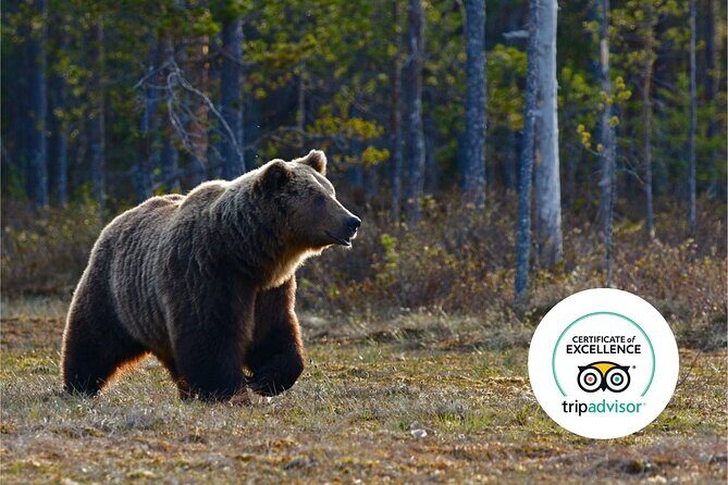 Banff Highlights & Wildlife | Award-Winning Small Group Adventure - Who Should Take This Tour?