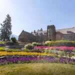 Banff: History Tour with Private Group Museum Tours + Entry - Who Will Appreciate This Tour?