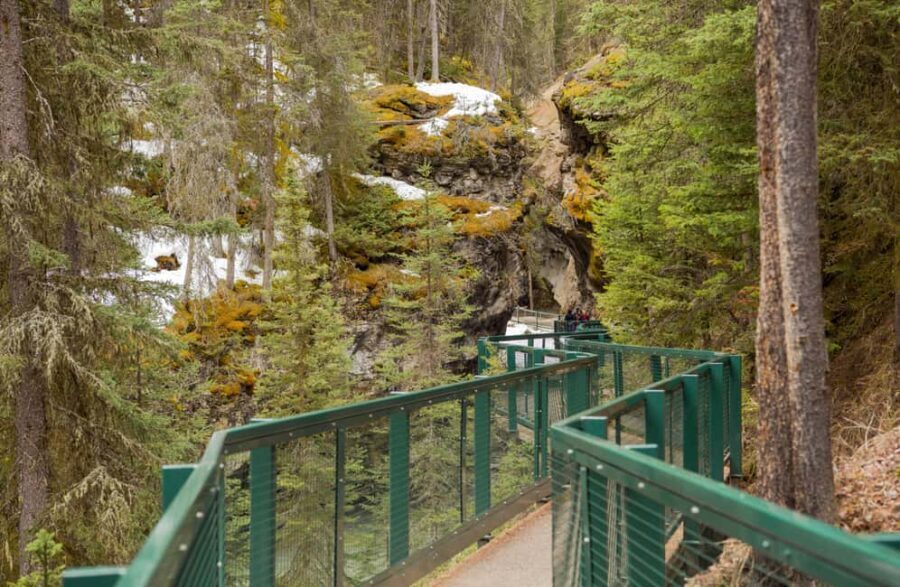 Banff, Lake Louise, Johnston Canyon, Vermilion Lake Day Trip - Value and Practical Considerations