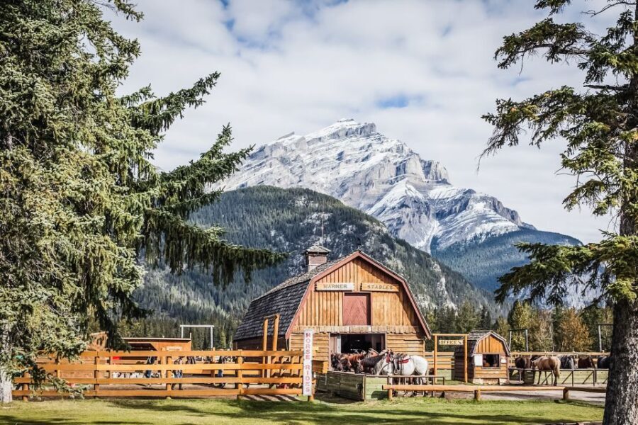 Banff National Park: 1-Hour Bow River Horseback Ride - Price and Value Proposition