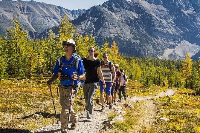 Banff National Park Guided Hike with Lunch - The Value Proposition