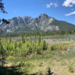 Banff PRIVATE Guided Nature Walk + Transportation - 2.5H - The Value of a Personalized, Small-Group Outdoor Experience