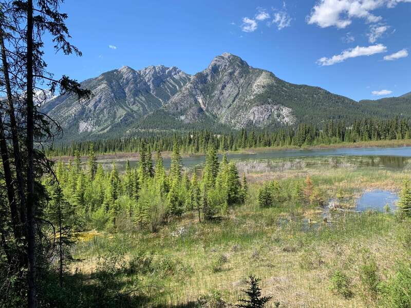 Banff PRIVATE Guided Nature Walk + Transportation - 2.5H - The Value of a Personalized, Small-Group Outdoor Experience