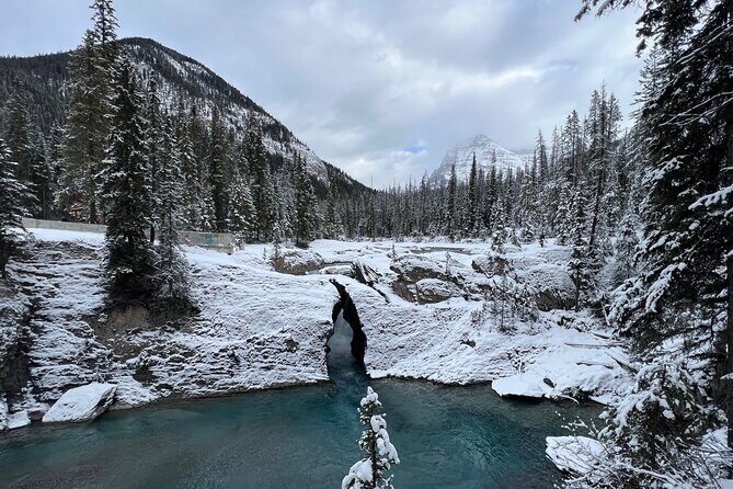 Banff, Yoho, and Icefield Parkway Private Tour - The Itinerary in Detail