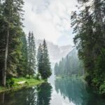Banff, Yoho, and Jasper 2 Day Private Tour - Who Will Love This Tour?
