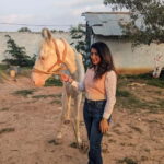 Bangalore: Horse Riding Safari Tour - Key Points