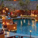 Bangkok: Bubble in the Forest Cafe Food Packages - Is This Experience Worth It?