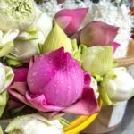 Bangkok Floating Markets and Boat Tour - A Detailed Look at the Tour Experience