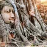 Bangkok Full Day Ayutthaya landmark Guided Tour - Itinerary Breakdown: What Youll See and Experience
