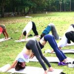 Bangkok: Lumpini Park Yoga Experience - A Detailed Look at the Itinerary and Setting