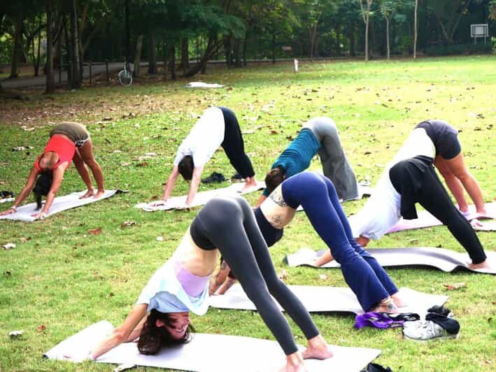 Bangkok: Lumpini Park Yoga Experience - A Detailed Look at the Itinerary and Setting