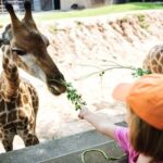 Bangkok: Safari world & Marine park - The Jungle Cruise River Ride: An Extra Adventure