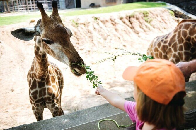 Bangkok: Safari world & Marine park - The Jungle Cruise River Ride: An Extra Adventure