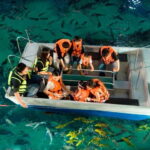 Bangkok: SEA LIFE Bangkok Ocean World Entry Ticket - The Value of Your Ticket & What You Get