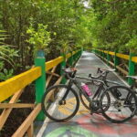 Bangkok: Seaside Views Cycling Tour via Mangrove Tunnel - Why This Tour Is Worth Considering