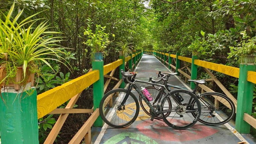 Bangkok: Seaside Views Cycling Tour via Mangrove Tunnel - Why This Tour Is Worth Considering