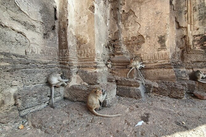 Bangkok to Ayutthaya Lopburi Monkey Temple, Largest Buddha Tour - Real Traveler Insights and Practical Tips