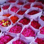 Bangkok without Traffic Jams - The Experience: Transportation and Atmosphere