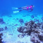 Bantayan Island: Fundive Freediving Excursion - The Value of a $66 Freedive Experience