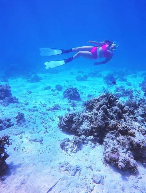 Bantayan Island: Fundive Freediving Excursion - The Value of a $66 Freedive Experience