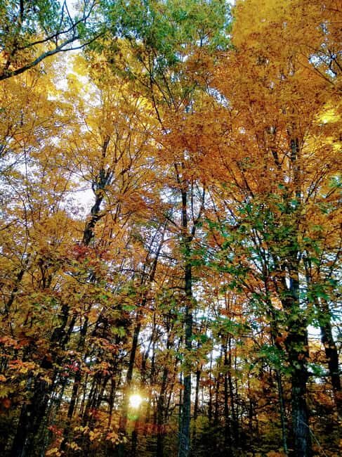Bar Harbor: Acadia National Park Autumn Leaf Private Tour - The Itinerary and Highlights