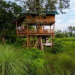 Bardiya National Park: Treehouse Stay with Wildlife Safari - What To Expect